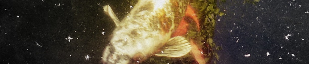 Lucy Bergman's Instagram, Facebook & TikTok on IDCrawl