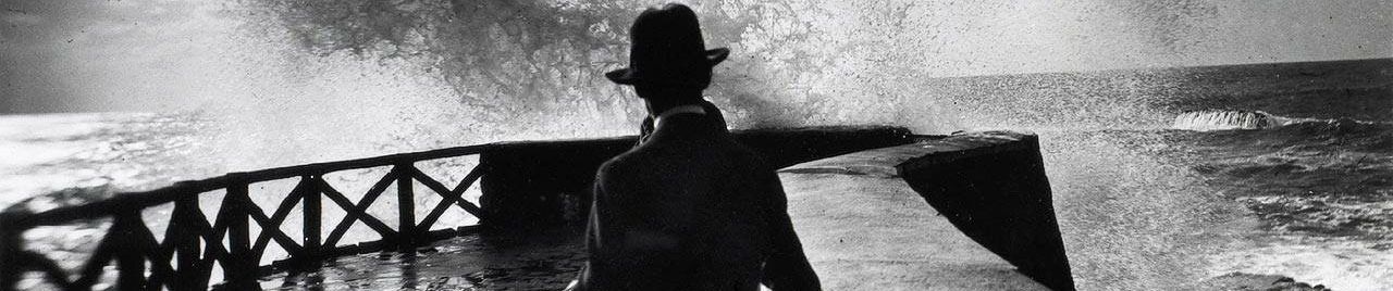 Joan Basson's Instagram, Twitter & Facebook on IDCrawl