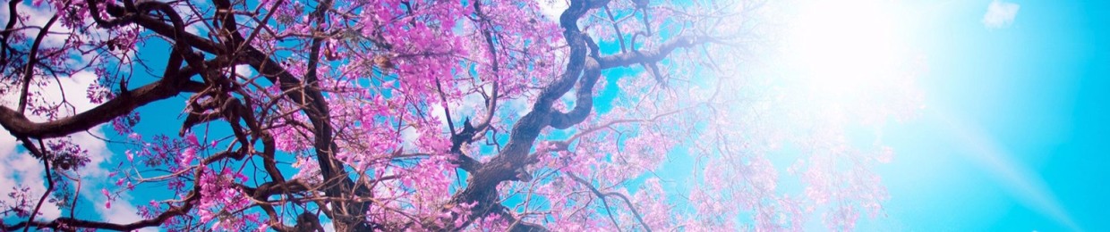 Stream Refractal music | Listen to songs, albums, playlists for free on ...