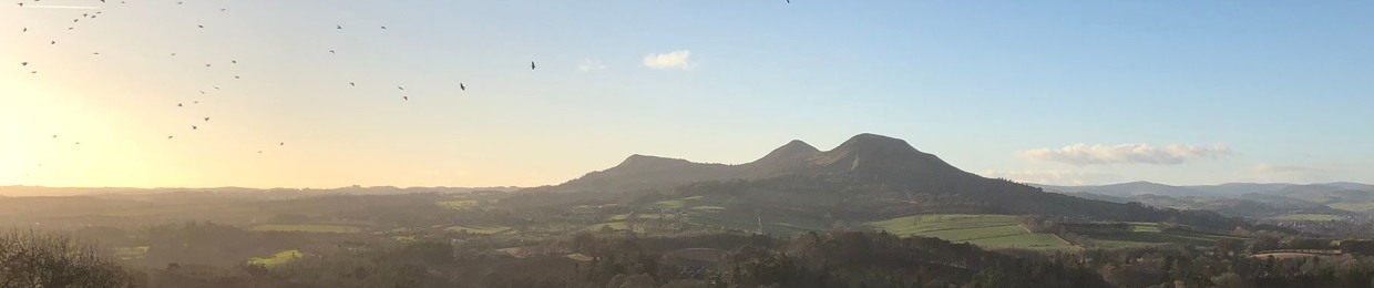 Stream Andrew Haig music | Listen to songs, albums, playlists for free ...