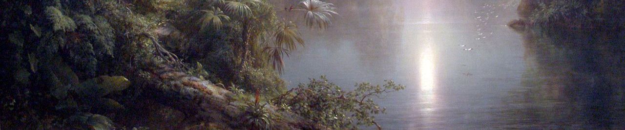 Amy Pebbles's Instagram, Twitter & Facebook on IDCrawl