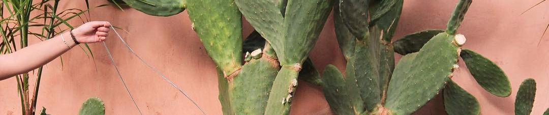 Marisa Lim's Instagram, Twitter & Facebook on IDCrawl