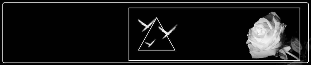 Trill Twitter Backgrounds