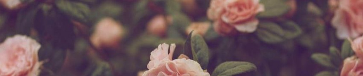 Vintage Facebook Covers Tumblr