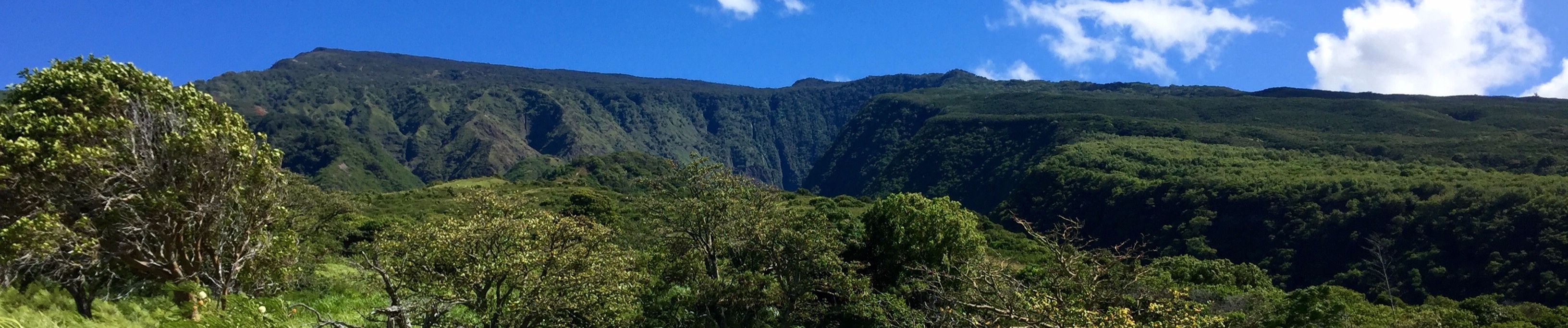 Milo Knowles's Instagram, Twitter & Facebook on IDCrawl