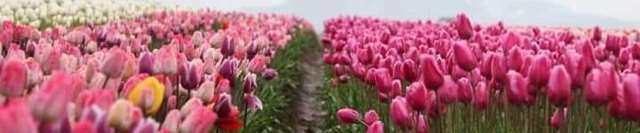 Marcie Jean's Instagram, Twitter & Facebook on IDCrawl