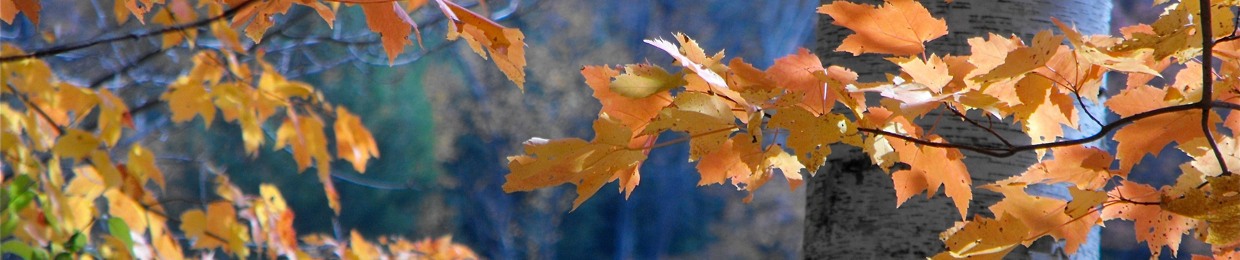 Stream Larry Nusbaum music | Listen to songs, albums, playlists for ...