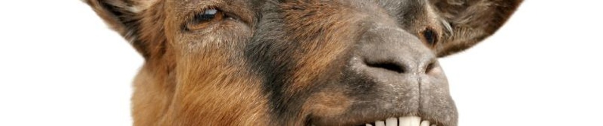 Stream Goat Music Listen To Songs Albums Playlists For Free On