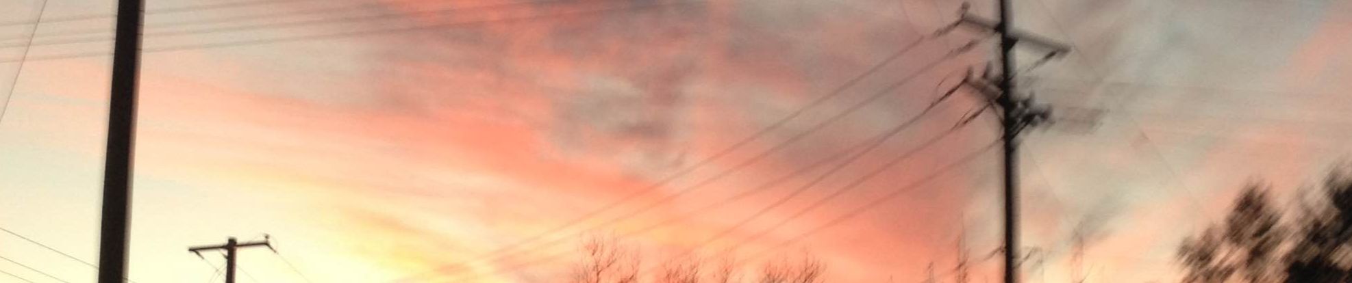 Joey Fuchs's Instagram, Twitter & Facebook on IDCrawl