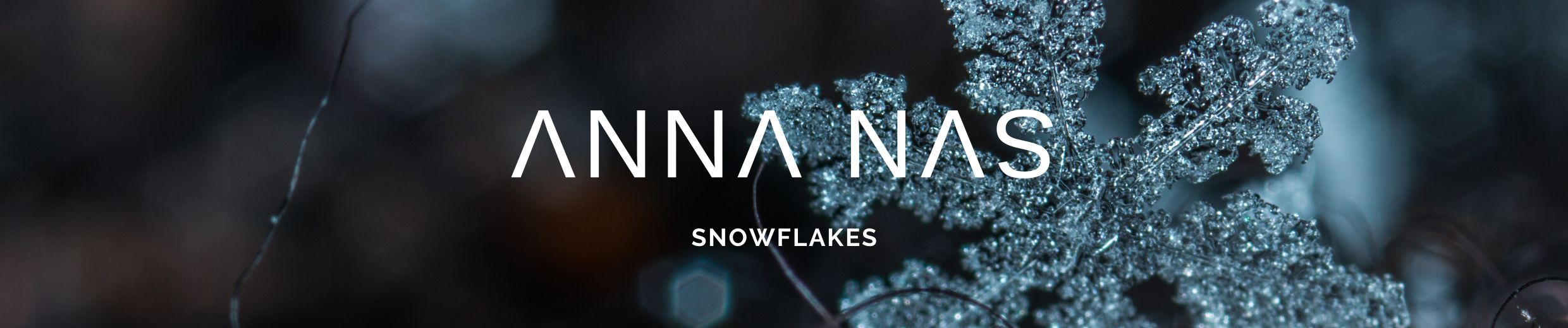 Snowflake Twitter Headers