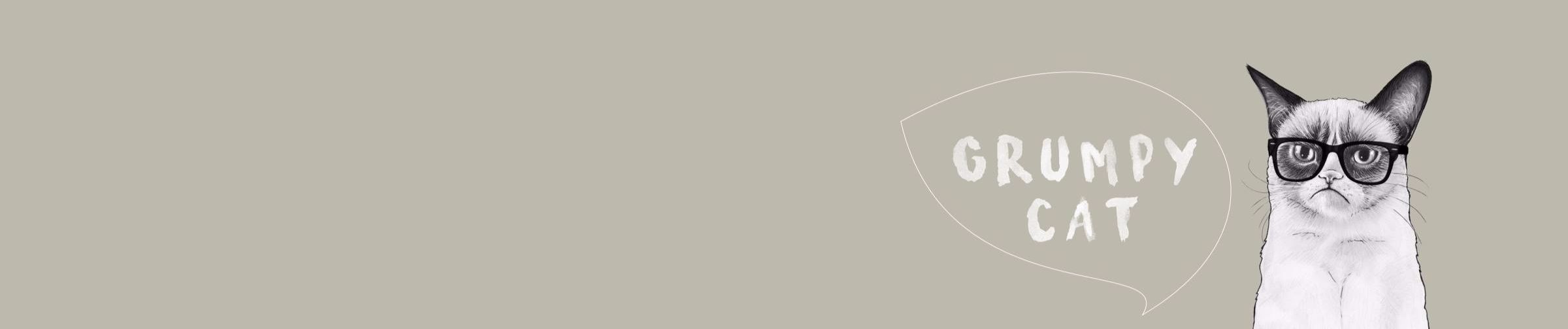 Grumpy Cat Facebook Timeline
