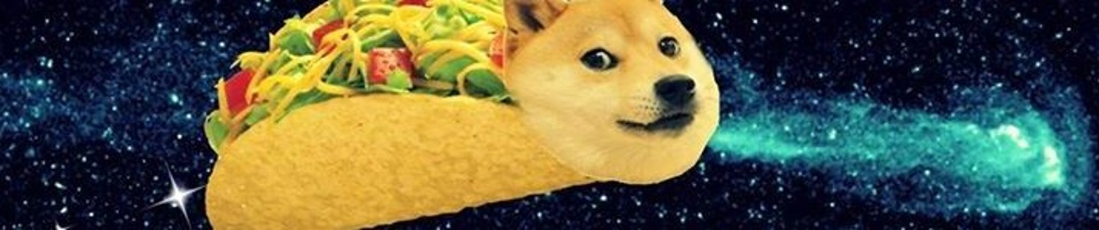 Taco Doge Follow Your Dreams