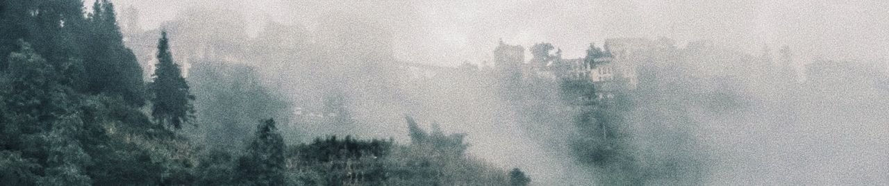 Linna Nguyen's Instagram, Twitter & Facebook on IDCrawl