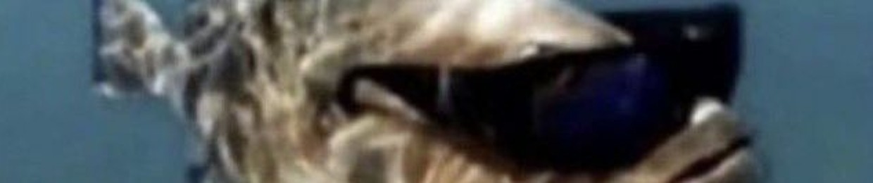 Stream ohio rizz collective music | Listen to songs, albums, playlists ...