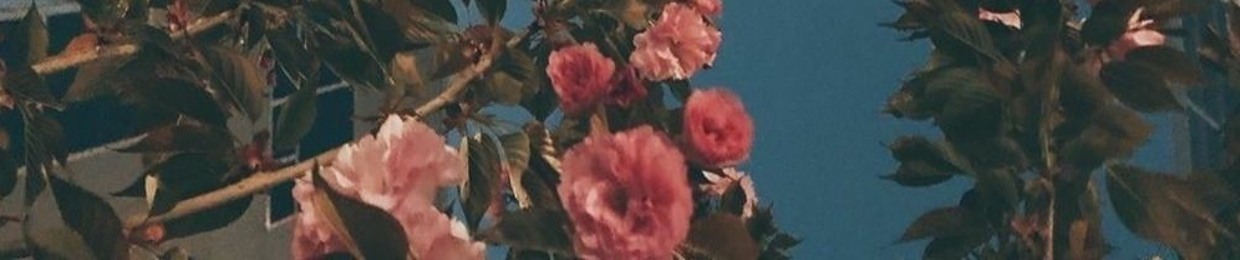 Floral Vintage Twitter Header