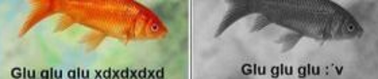 Stream Alexer music | Listen to songs, albums, playlists for free on ...