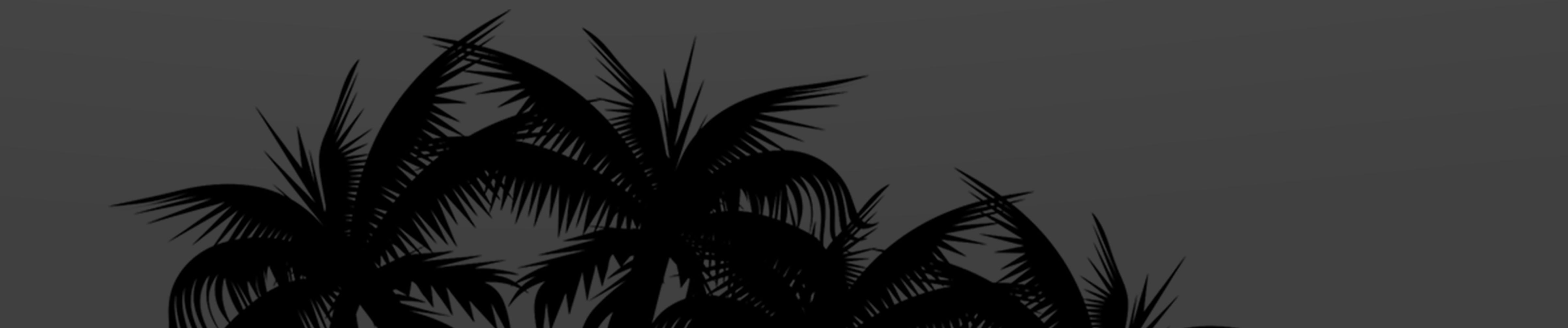 Black And White Palm Tree Twitter Headers