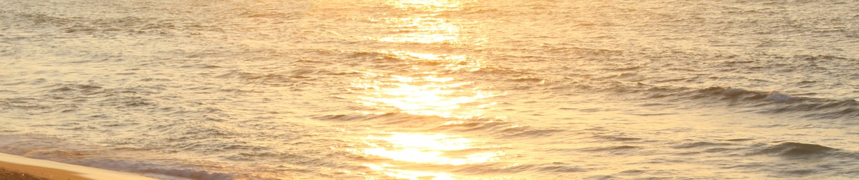 Stream Laura Borda music | Listen to songs, albums, playlists for free ...