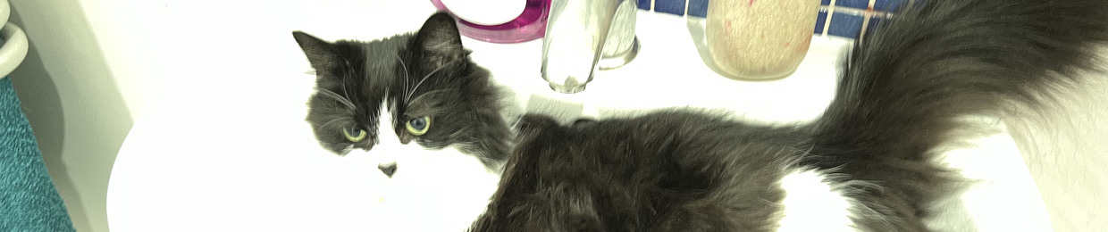 Stream WSTR music | Listen to songs, albums, playlists for free on ...