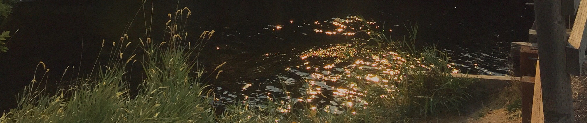 Jessica Daum's Instagram, Twitter & Facebook on IDCrawl