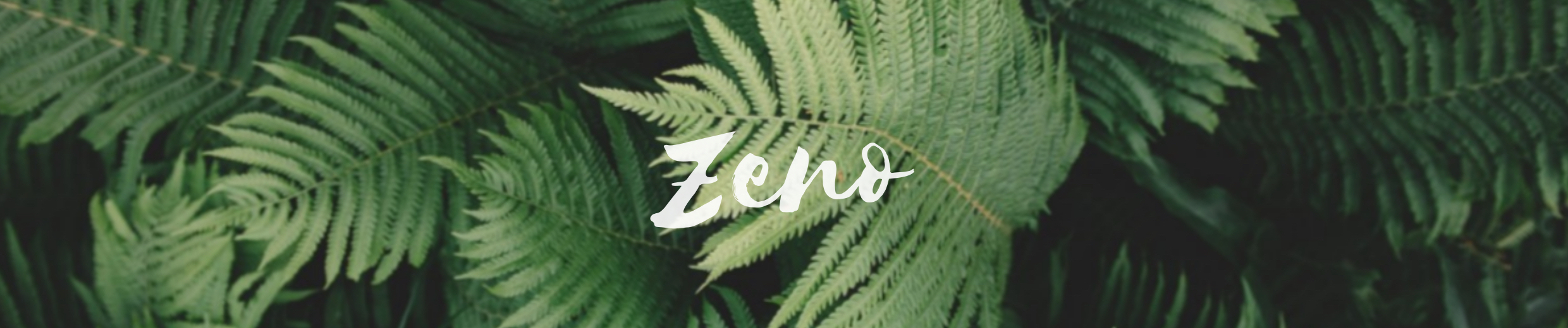 Jc Caylen Twitter Headers