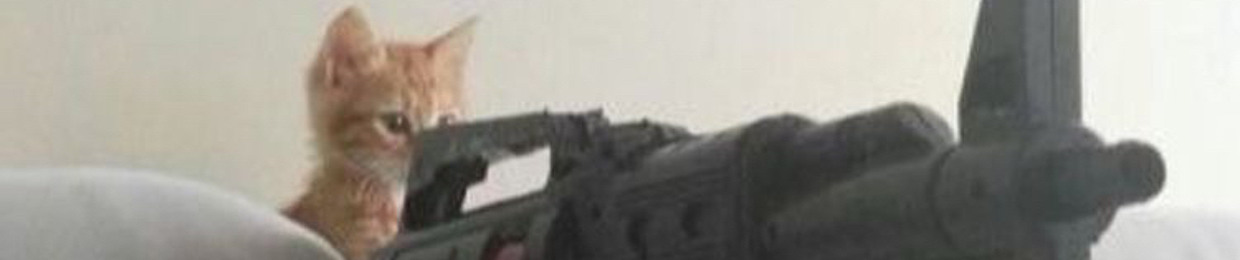 Cat With Machine Gun Gif