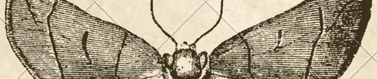 Stream Kyny music | Listen to songs, albums, playlists for free on ...