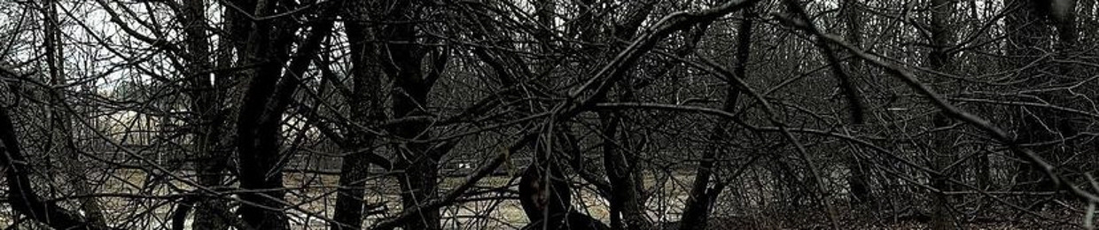 Stream BABA J music | Listen to songs, albums, playlists for free on ...