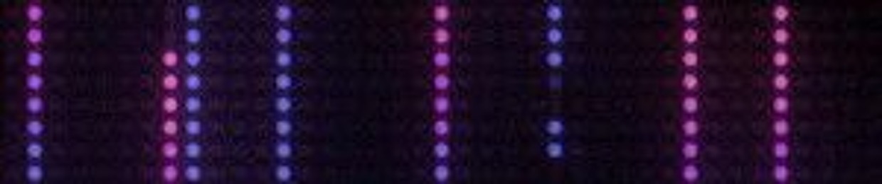 Stream Beyond Taboo music | Listen to songs, albums, playlists for free ...