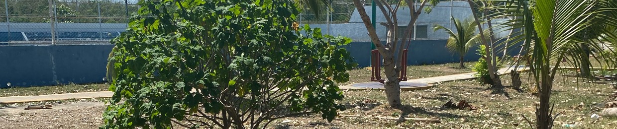 Stream Alex cimá music | Listen to songs, albums, playlists for free on ...