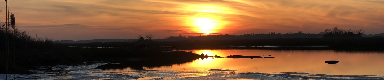 Stream Emma Achille music | Listen to songs, albums, playlists for free ...