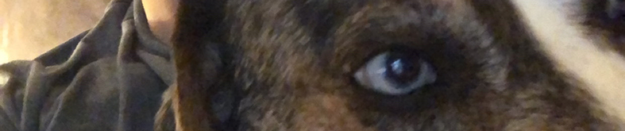 Stream yung sauce kay music | Listen to songs, albums, playlists for ...